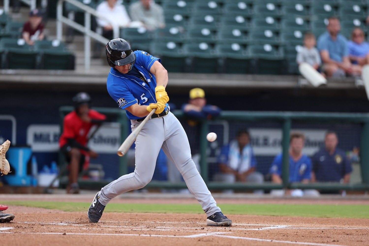 Milwaukee Brewers Minor League Hitters of the Month - May 2025 - Minor ...